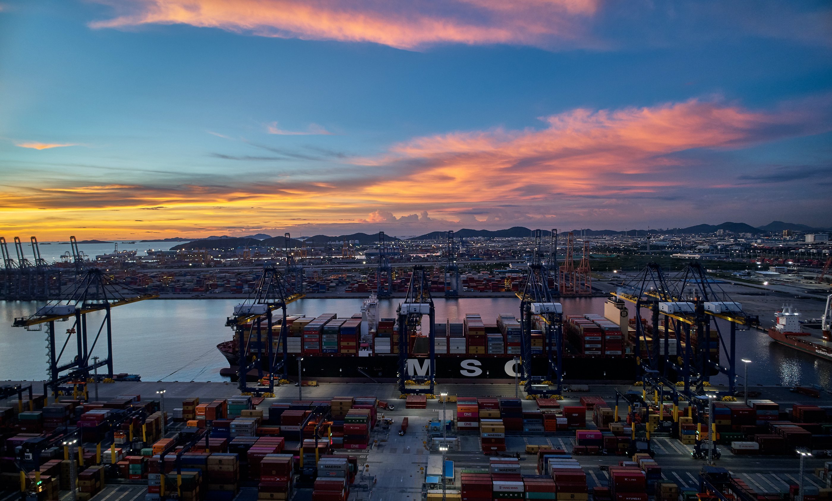 MSC sees hydrogen and biofuels as key components of shipping’s future ...