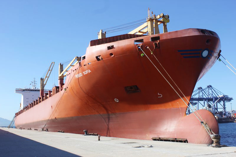 Container ship FESCO Sofia joins the FESCO fleet - VesselFinder